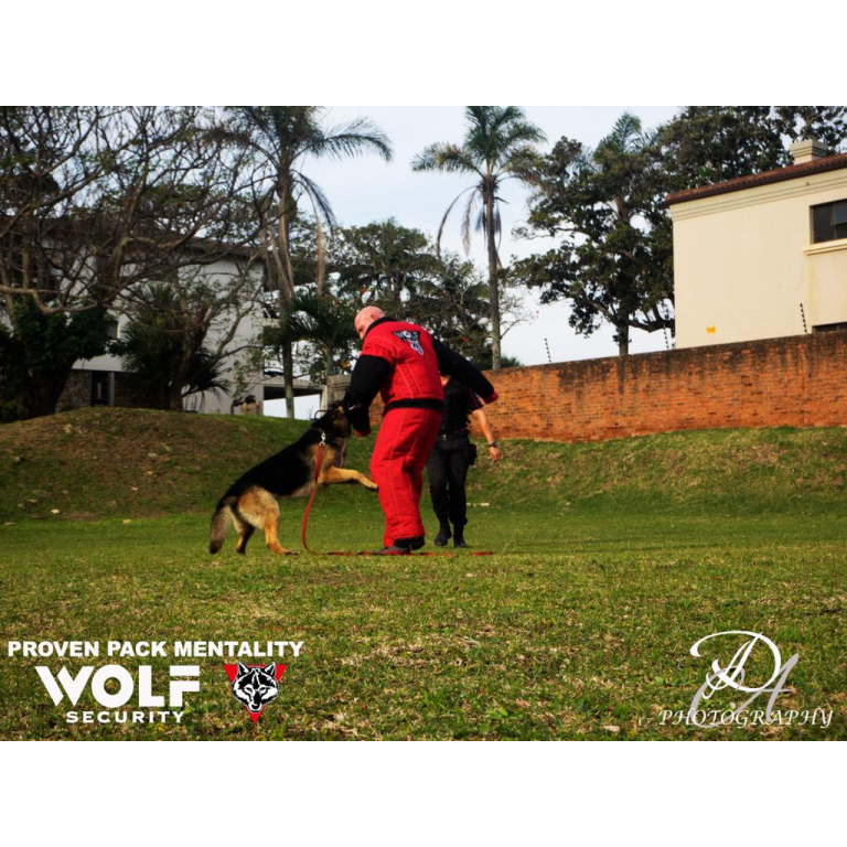 Wolf Security | Armed Response | Home Security | Office - Wolf Security